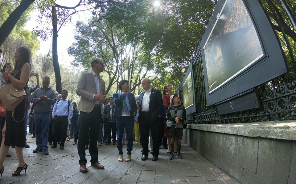 Galería Las Rejas de Chapultepec, visiones de nuestra naturaleza ...