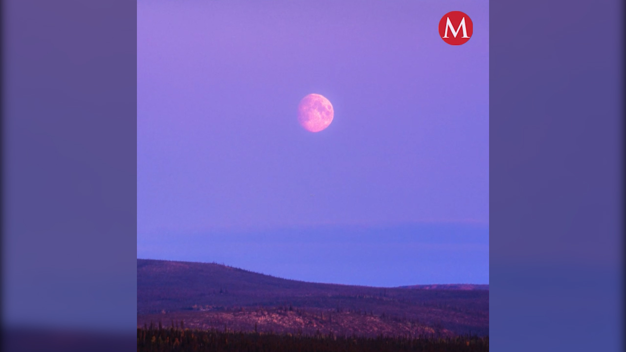 Luna Rosa 2019: ¿Qué es y cuándo verla? - Grupo Milenio