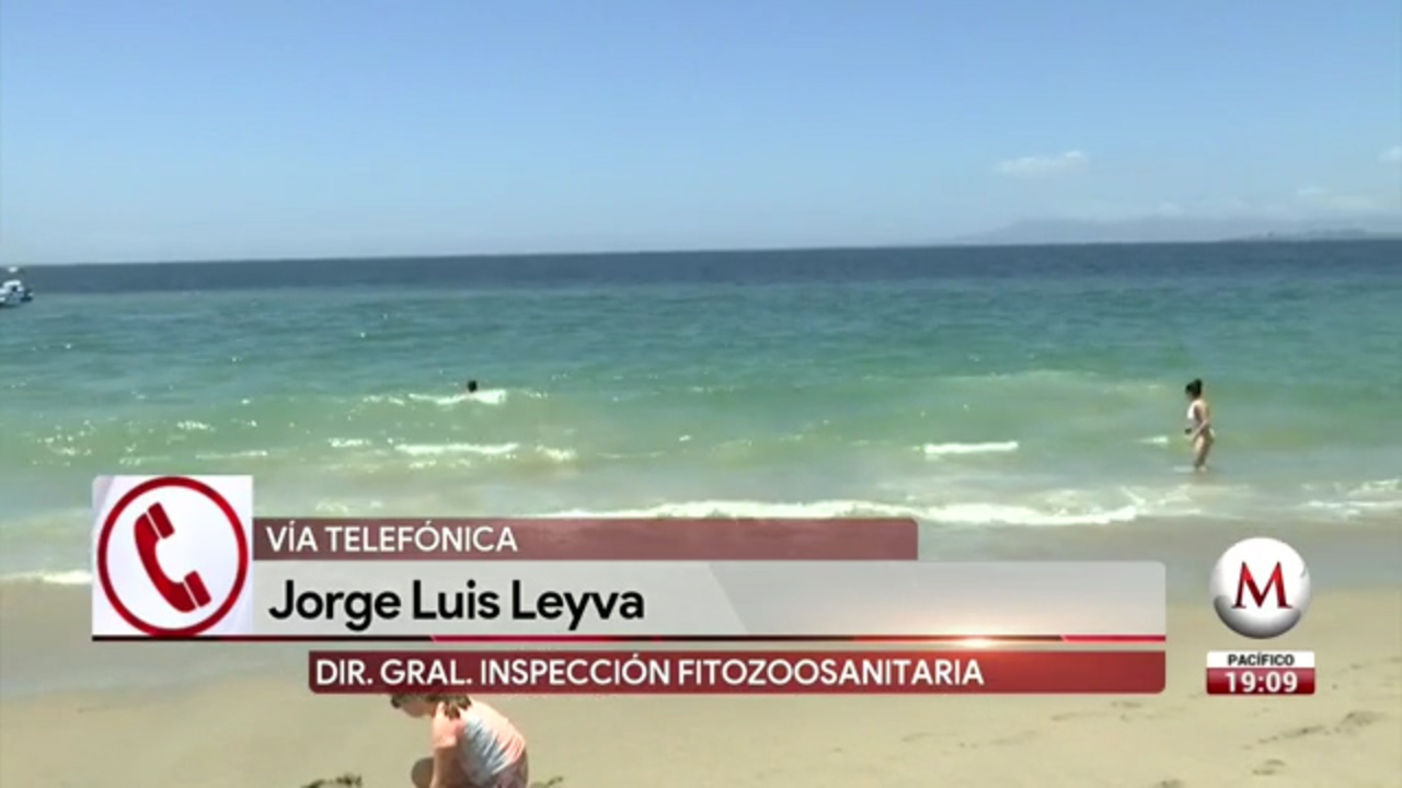 "Tenemos una alerta sanitaria por una enfermedad llamada "Peste Porcina Africana": Jorge Luis ...