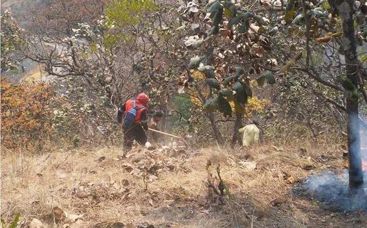 En Guerrero, controlan incendio en el cerro del Huixteco- Grupo Milenio