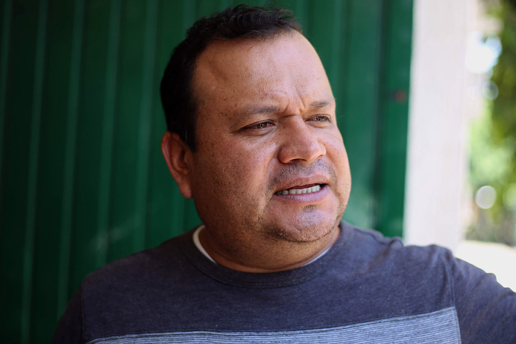 Viveros de La Laguna piden plantar flores para salvar a abejas - Grupo ...