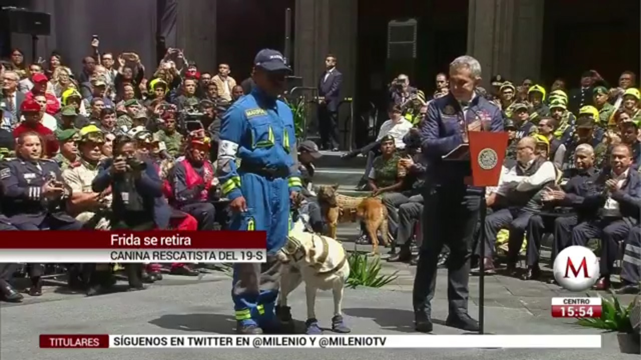 '¡Gracias Frida!', con video Marina despide a binomio rescatista en 19S ...