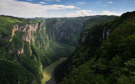 Chiapas, historia y significado de su himno y escudo- Grupo Milenio