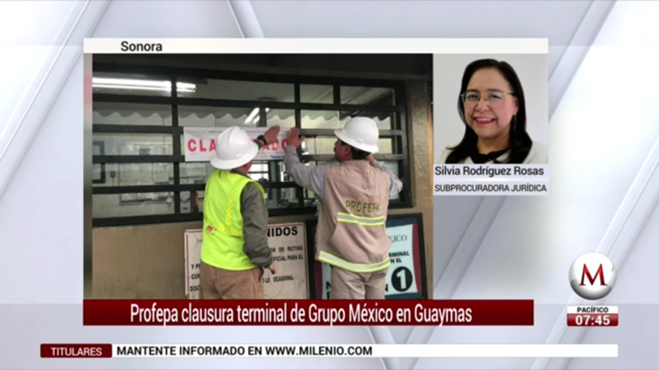 Profepa clausura terminal de Grupo México en Guaymas- Grupo Milenio