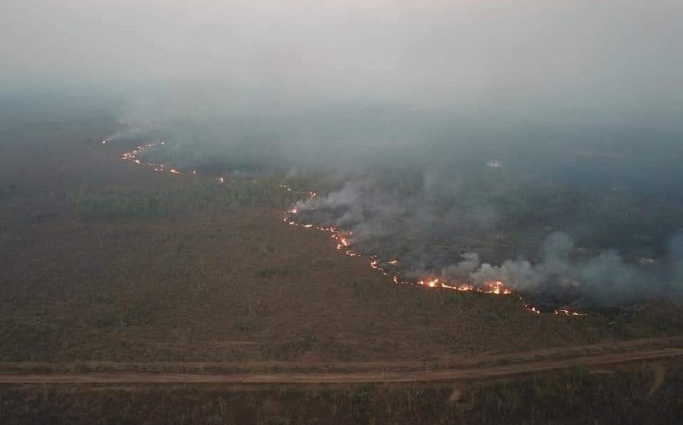 Selva amazónica: incendios forestales aumentaron en 2019- Grupo Milenio