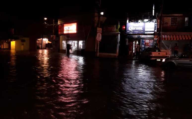 Guerrero: Lluvias generan inundaciones de casas y caída de árboles ...