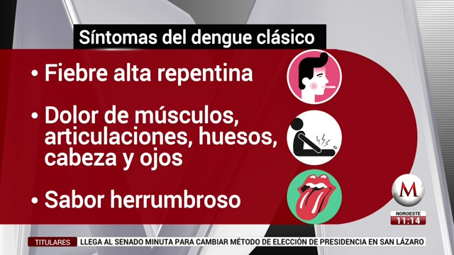 Síntomas del dengue clásico y hemorrágico- Grupo Milenio