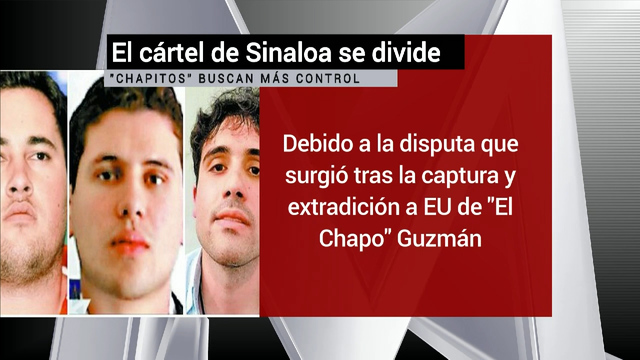 El cártel de Sinaloa se divide; 'Chapitos' buscan más control - Grupo ...
