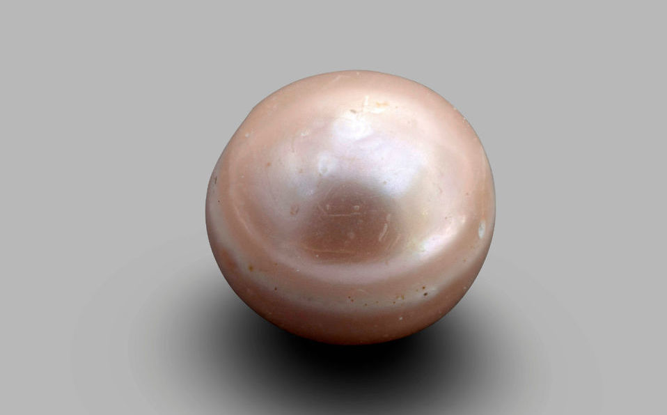 Perla más antigua del mundo será expuesta al público- Grupo Milenio