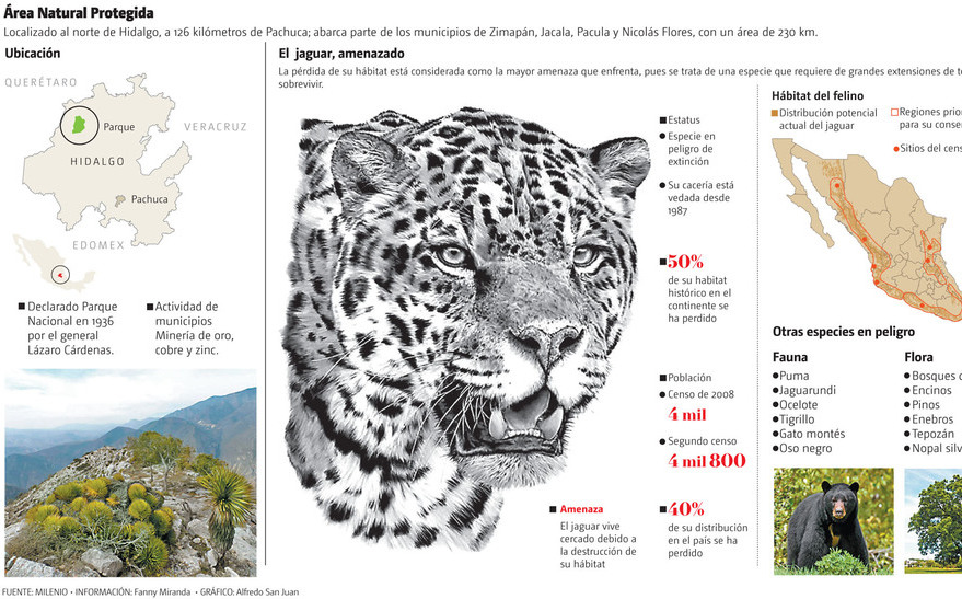 Los Mármoles, parque nacional de Hidalgo bajo asedio de 5 mineras ...