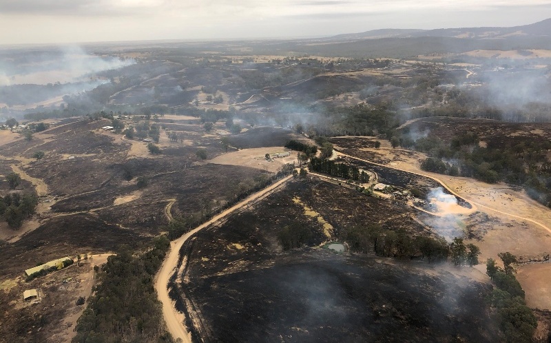 Incendios en Australia: éstas son las causas que los originan - Grupo ...