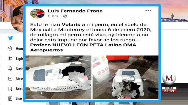 Usuario en Twitter muestra la transportadora de su mascota destrozada y ...