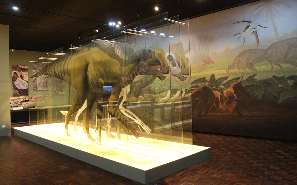 Conoce el renovado Museo Regional de La Laguna - Grupo Milenio