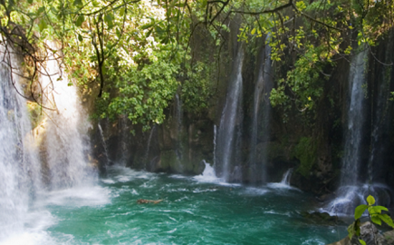 Huasteca mexicana: ¿Qué es y qué estados la conforman?- Grupo Milenio