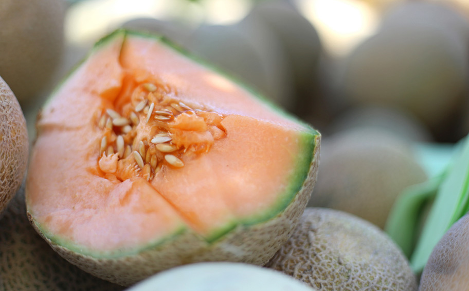 La Laguna: Productores de melón reciben apoyo financiero- Grupo Milenio