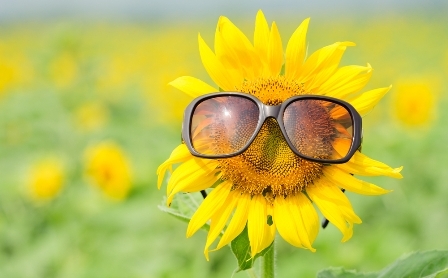 Primavera 2020: cuándo empieza y cuándo son vacaciones de Semana Santa ...