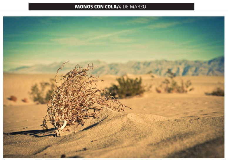 Monos con cola- Grupo Milenio