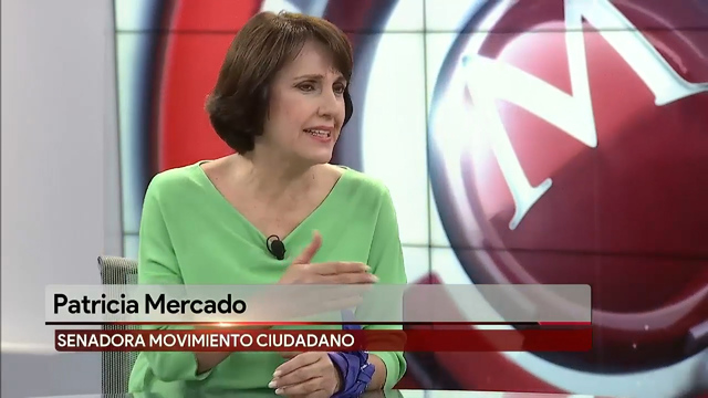 El patriarcado va a caer, pero no luchen solas: Patricia Mercado ...