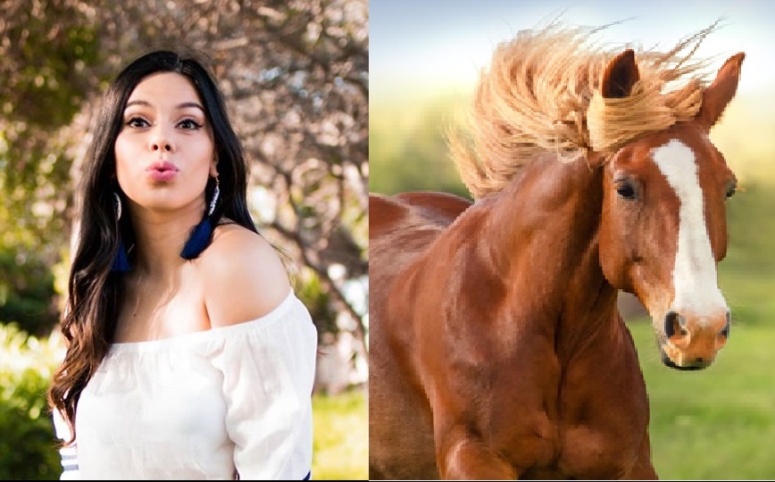 Frente al bullying, Lizbeth Rodríguez se disfraza de caballo. VIDEO ...