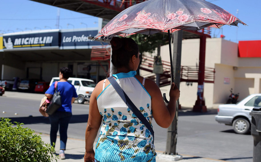 Clima de Torreón: primera ola calor será de hasta 35 grados- Grupo Milenio