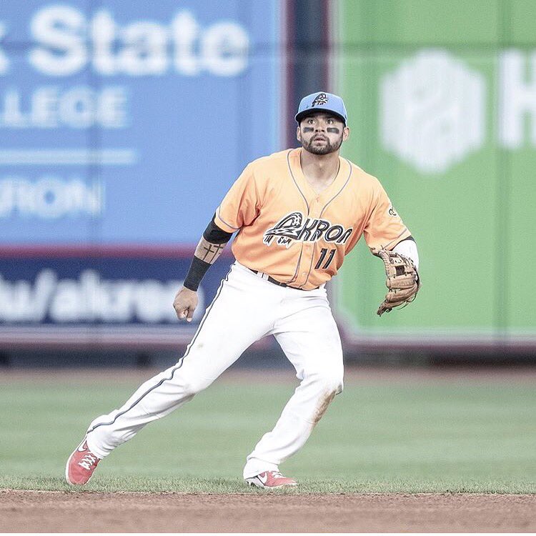 Pericos da la bienvenida al norteamericano Drew Stankiewicz - Grupo Milenio