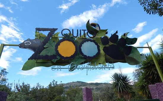 Zoológico de Quito celebra Día de la Tierra con audiocuentos- Grupo Milenio