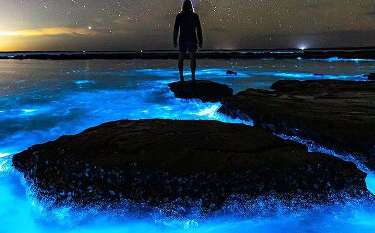 Playa bioluminiscente. Captan increíbles fotos de brillo neon del agua ...