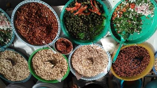 Villalba. Salsa de chicatana, un aderezo único en el año - Grupo Milenio