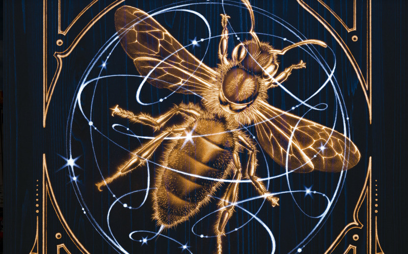 Jorge Galán. Fragmento de su nuevo libro La ruta de las abejas- Grupo ...