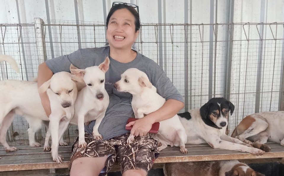 Indonesia. Mujer rescata a mil 400 perros de los carniceros- Grupo Milenio