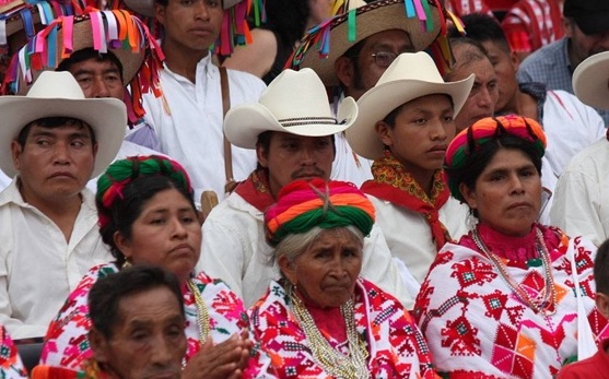 Pueblo Indígenas. ¿Cuáles son y dónde se encuentran?- Grupo Milenio