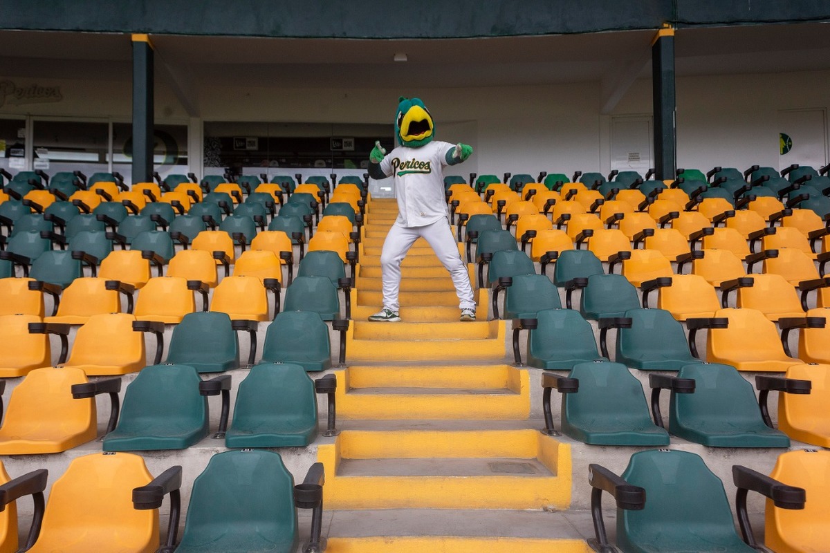 Pepe Perico y su lucha vs covid-19 - Grupo Milenio