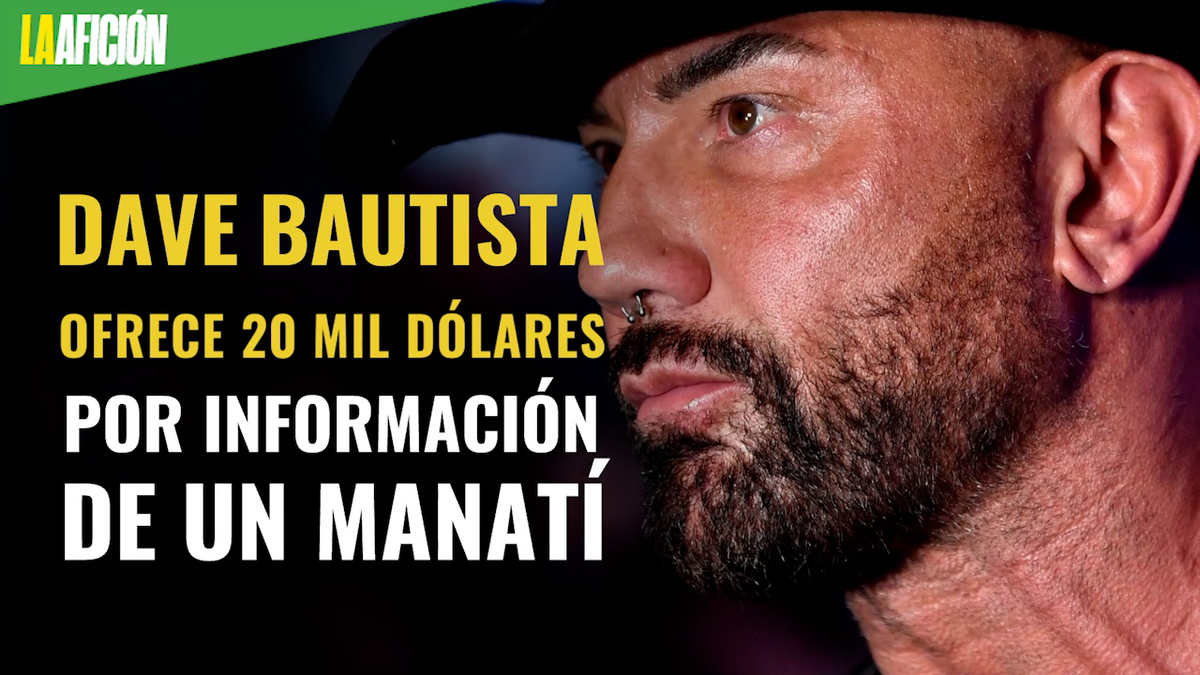 Batista ofrece 20 mil dólares por atrapar al que talló Trump en manatí ...
