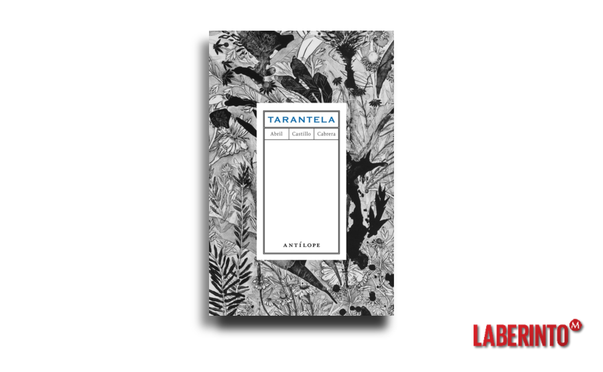 'Tarantela', de Abril Castillo Cabrera | Crítica del libro- Grupo Milenio