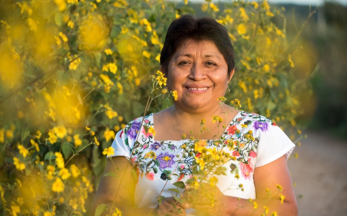En Yucatán, Leydy Pech protege a abejas de transgénicos de Monsanto ...