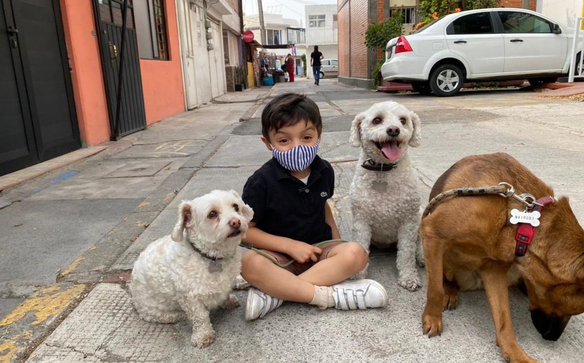 Quiero volar un avión y ser reportero: niño que entrevista a perros ...