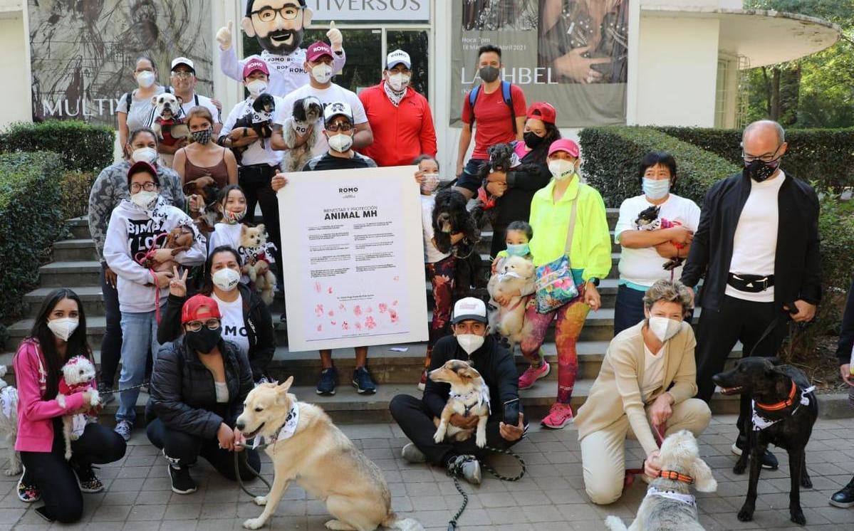 CdMx. Víctor Romo propone agenda animalista en la Miguel Hidalgo- Grupo ...