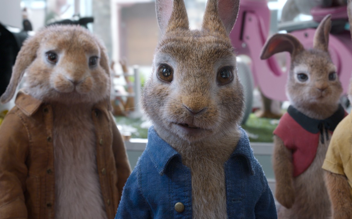 Peter Rabbit. El conejo llega a la pubertad- Grupo Milenio