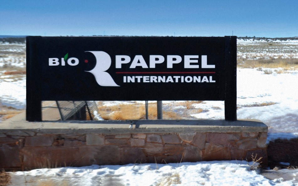 Bio Pappel, fabricante de Scribe, realiza fusión con subsidiarias ...