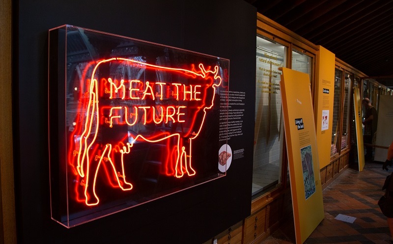 Meat the Future, expone que humanos comerán asados de gusanos insectos ...