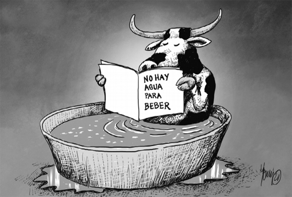VACAS CONTENTAS- Grupo Milenio
