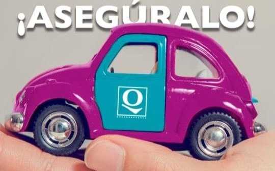 Quálitas supera expectativa de primas por venta de autos nuevos- Grupo ...