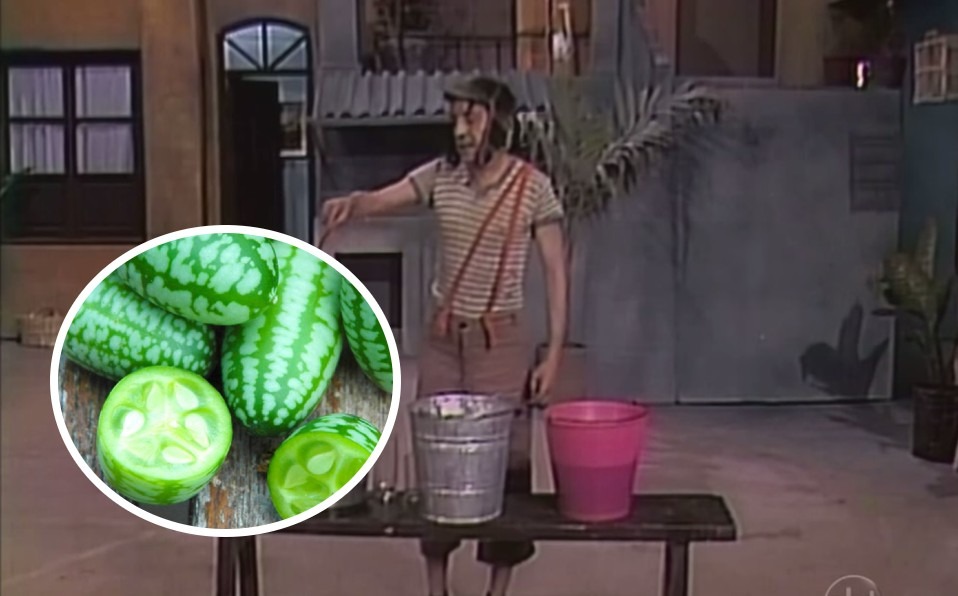 Cucamelón, fruta conocida como sandía miniatura o pepinillo agrio ...