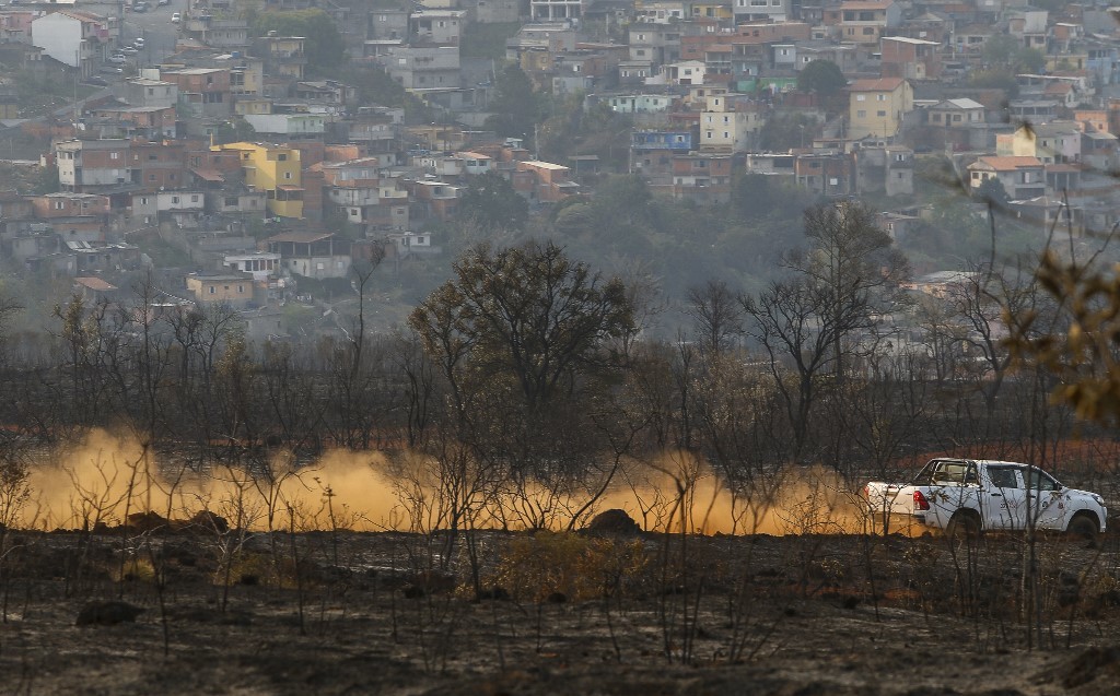 En Brasil, incendio forestal arrasa con parque estatal en Sao Paulo ...
