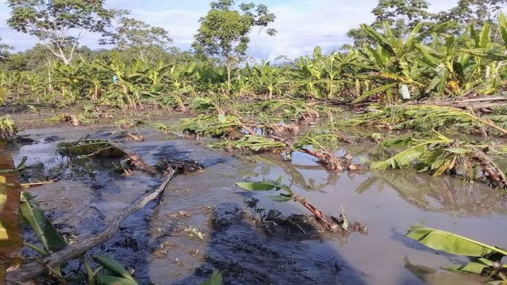 En Tula fueron afectadas 3 mil 200 hectáreas por inundación- Grupo Milenio