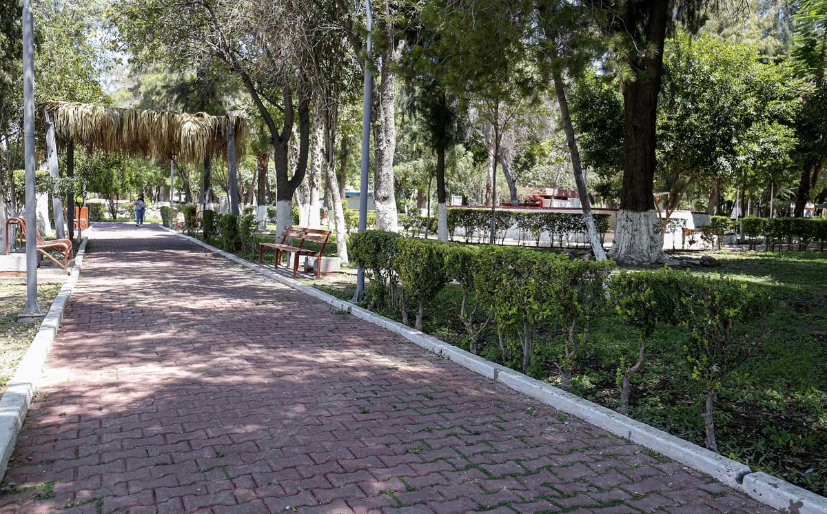Parque Morelos en Gómez Palacio como Zona de Preservación Ecológica ...