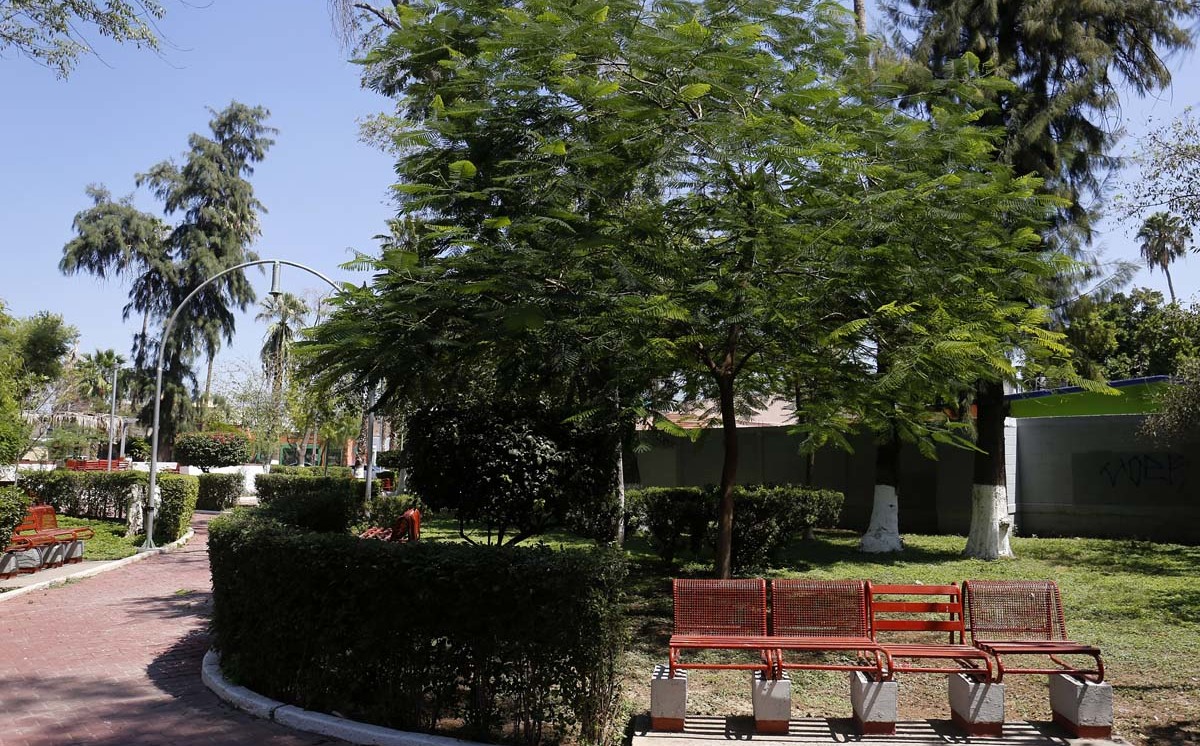 Parque Morelos en Gómez Palacio como Zona de Preservación Ecológica ...