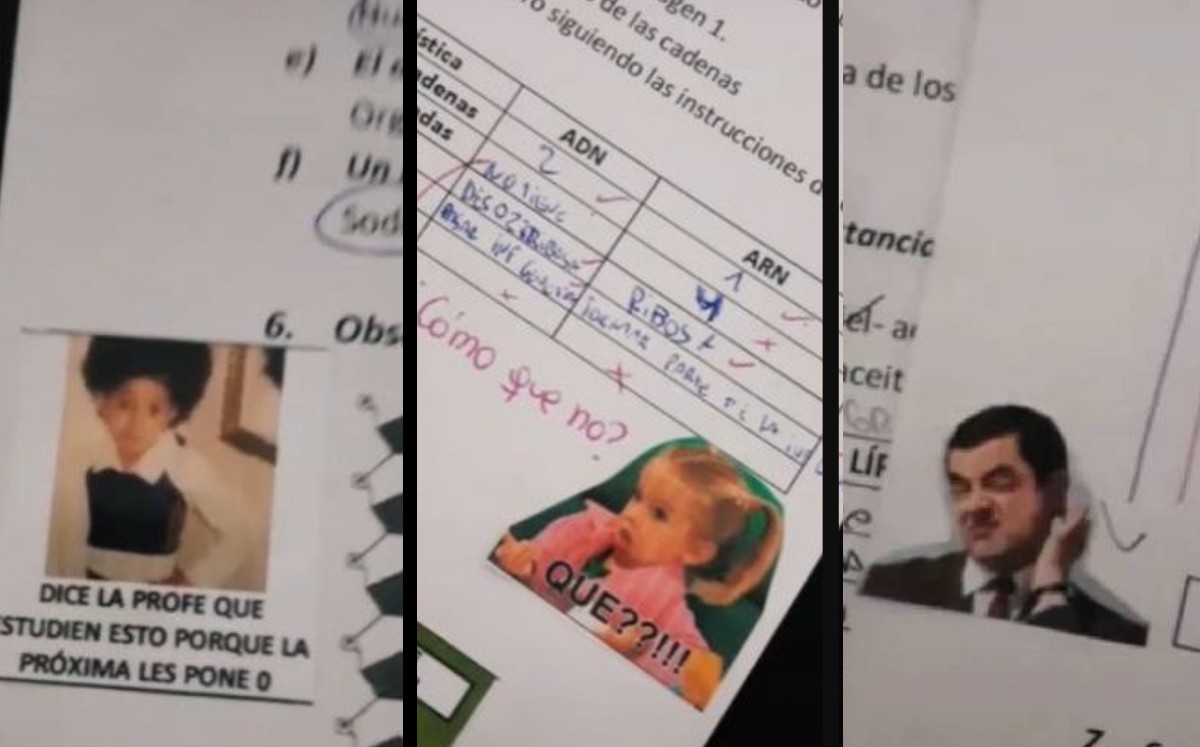 TikTok. Maestra califica trabajos de alumnos con memes virales |VIDEO ...