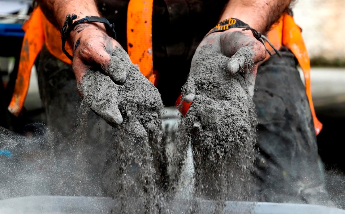 Mural de cenizas amazónicas cobra vida en Brasil - Grupo Milenio