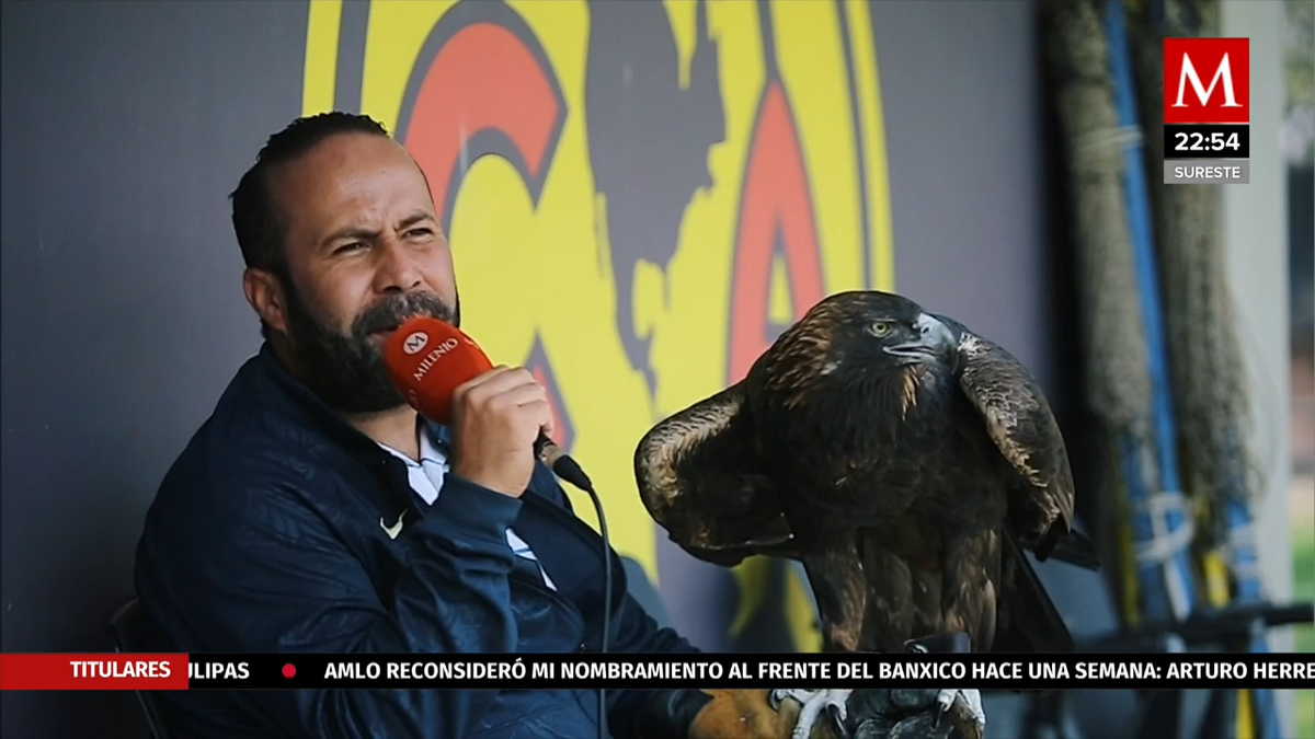 Celeste la mascota del América | La otra visión del deporte - Grupo Milenio